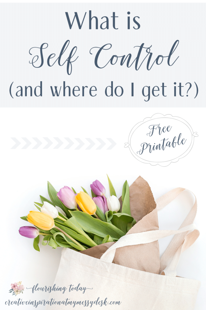 What is the Definition of Self Control? - Flourishing Today