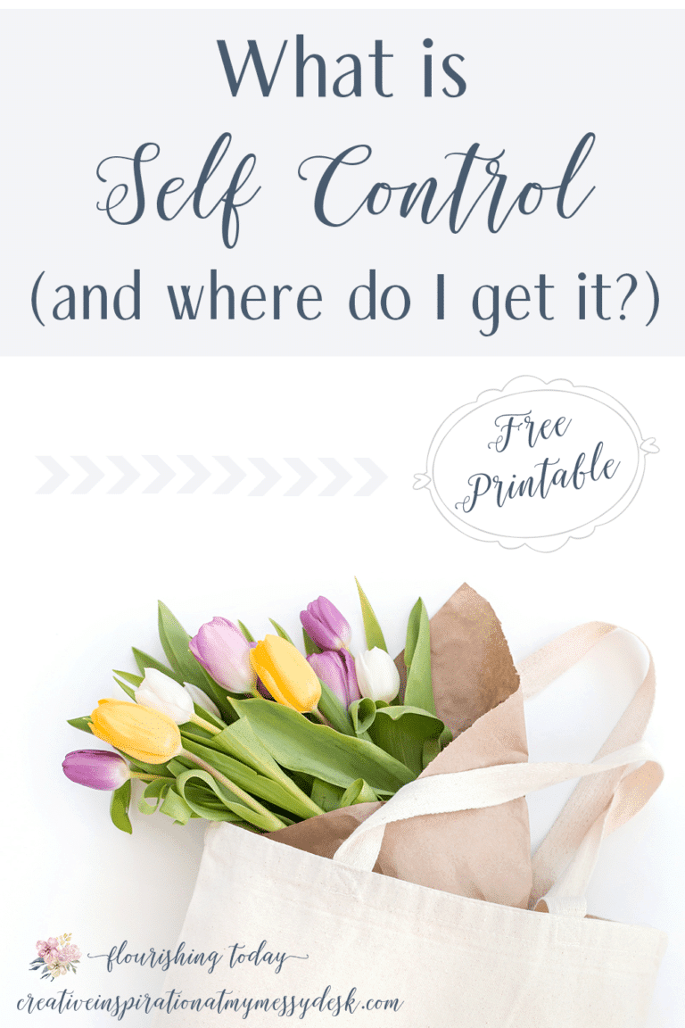 What is the Definition of Self Control? - Flourishing Today